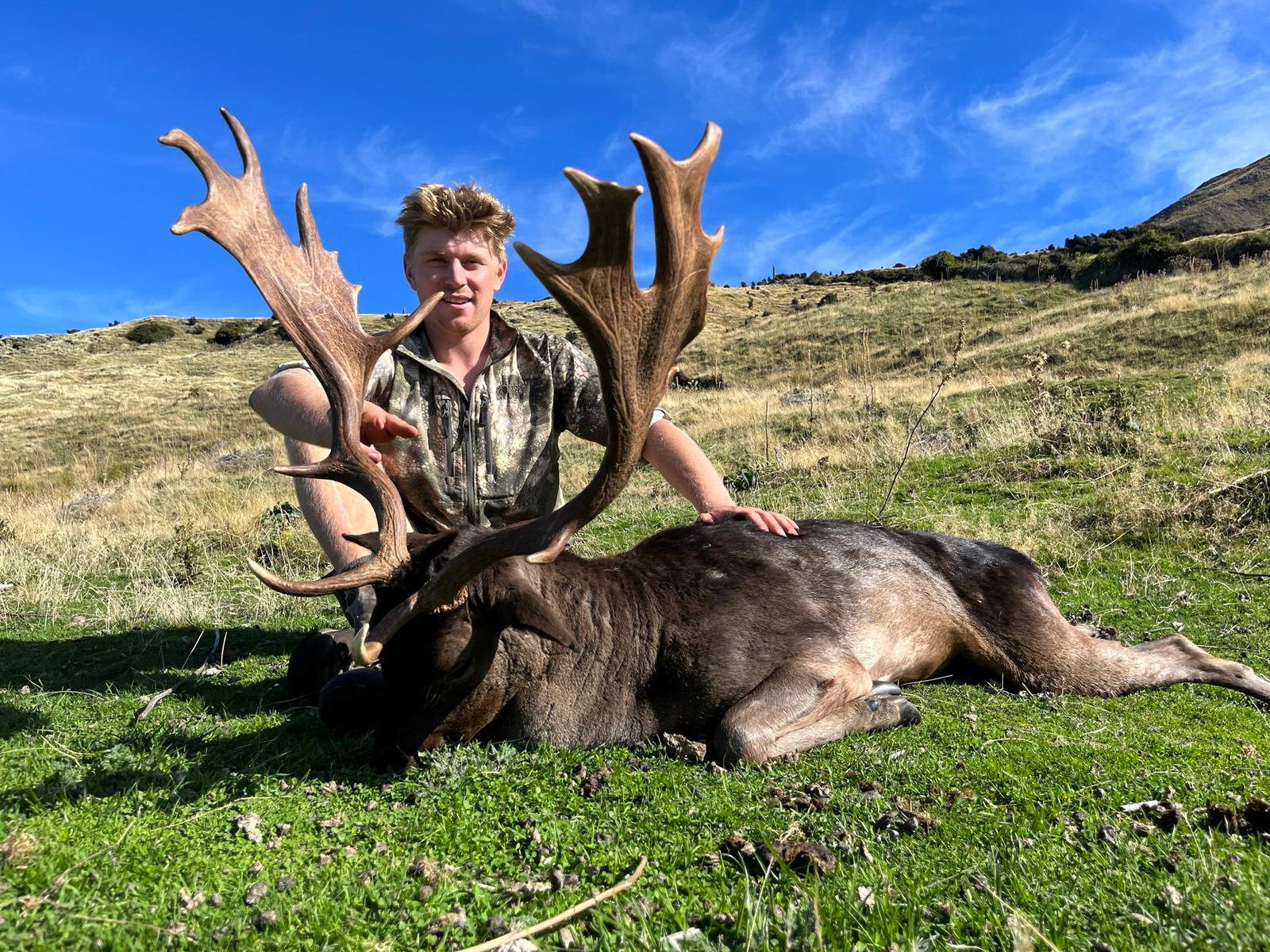 Fallow Bucks – NZantlers