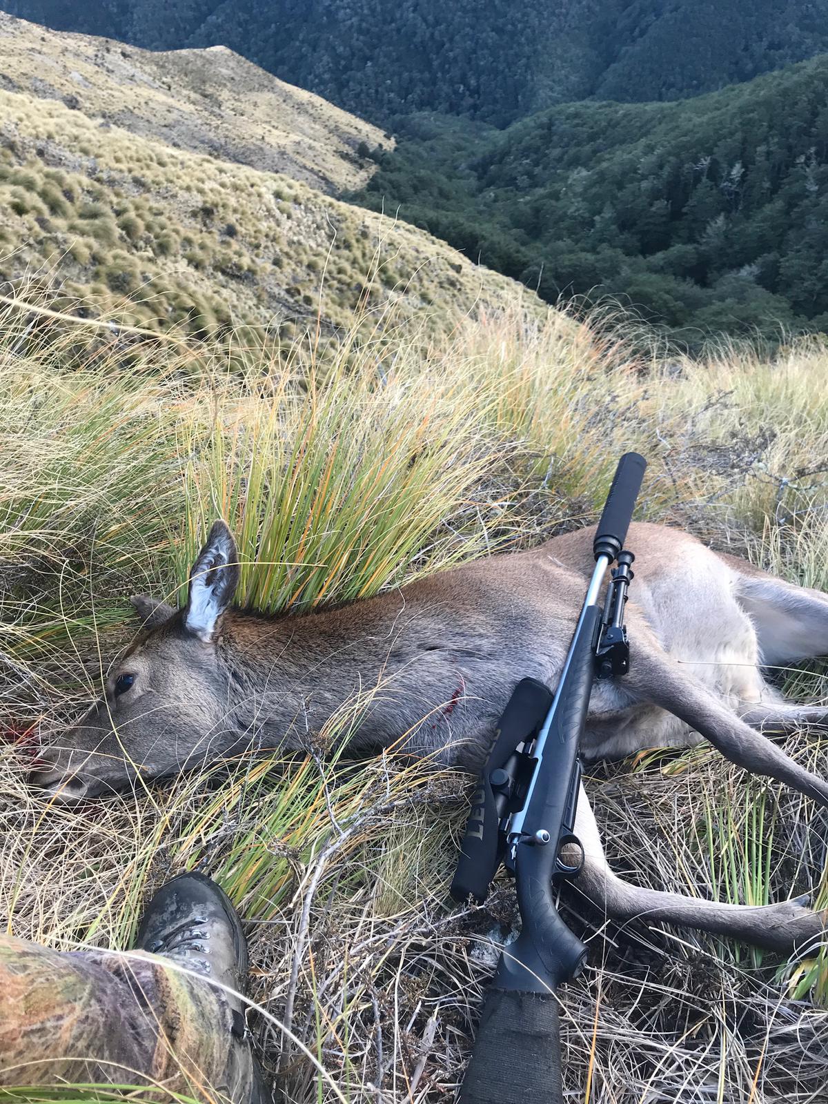Introduction To Hunting Meat Hunt – NZantlers